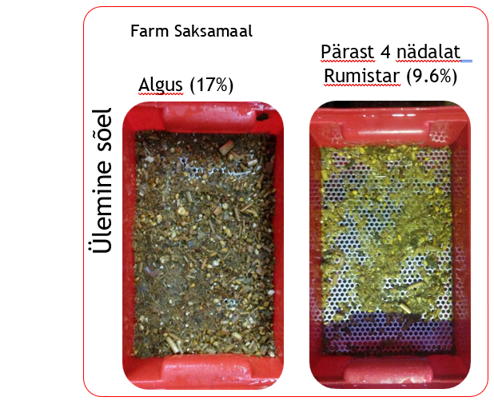 RONOZYME® RumiStar™ - Anu Ait